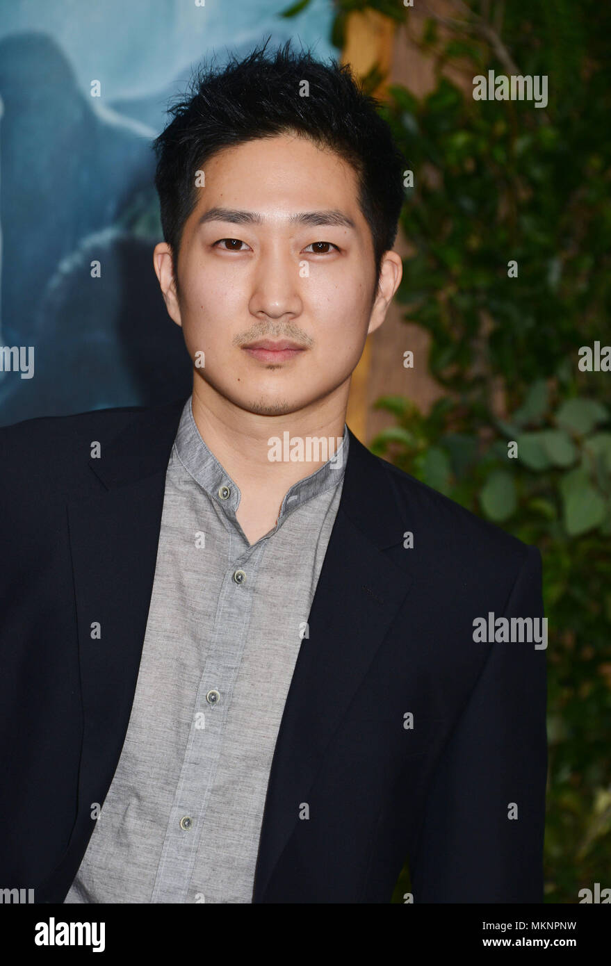 Tim Jo 068 at the Legend of Tarzan Premiere at the Dolby Theatre in Los ...