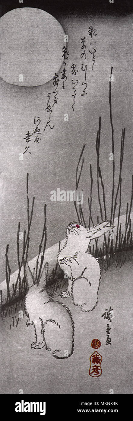 Rabbits in Moonlight Stock Photo - Alamy