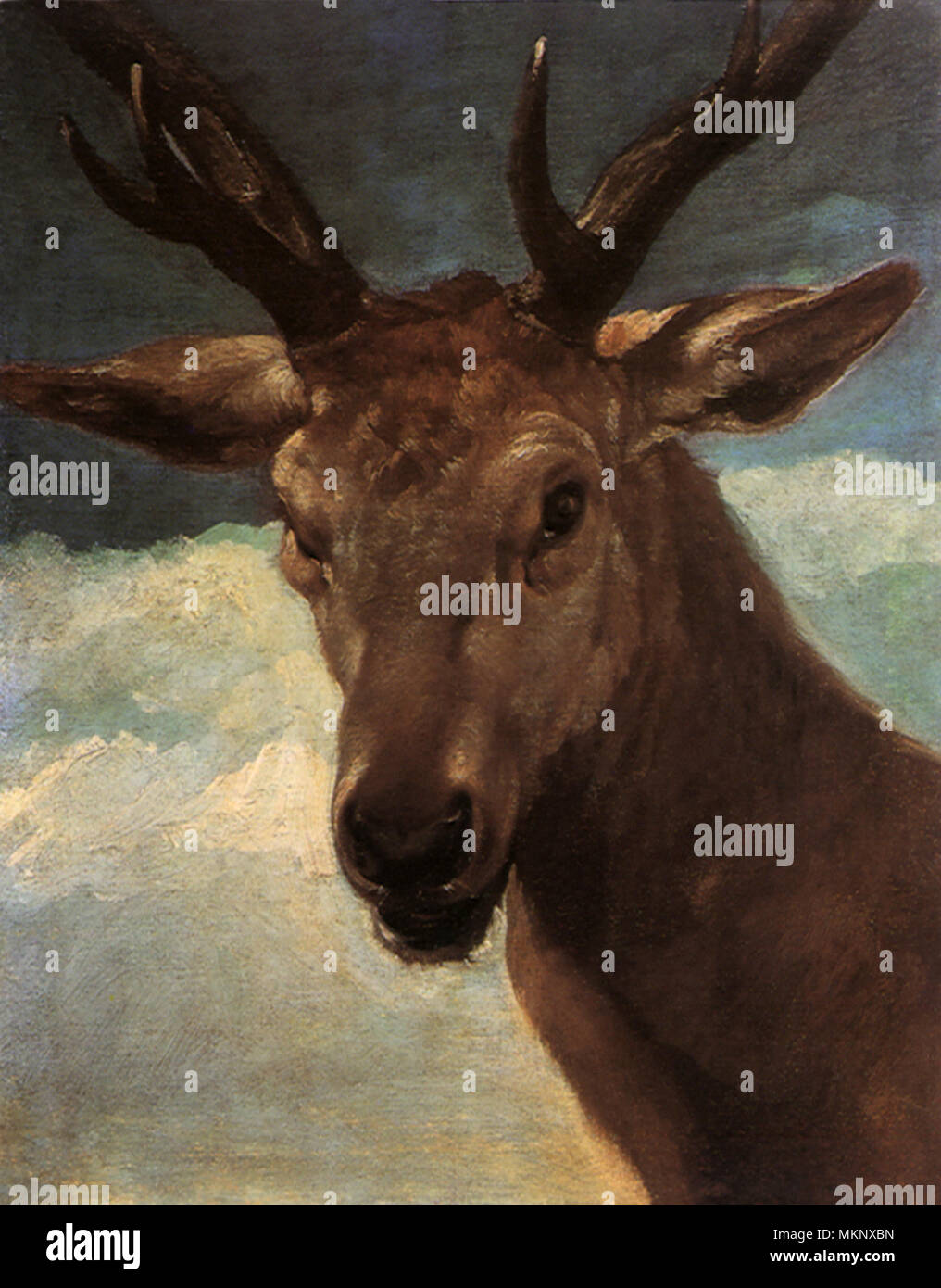 Stag head illustration hi-res stock photography and images - Alamy