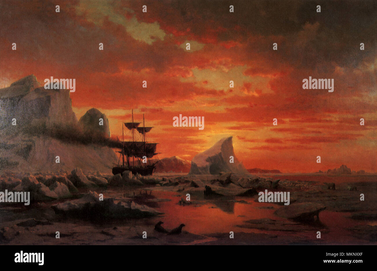 American invaders hi-res stock photography and images - Alamy