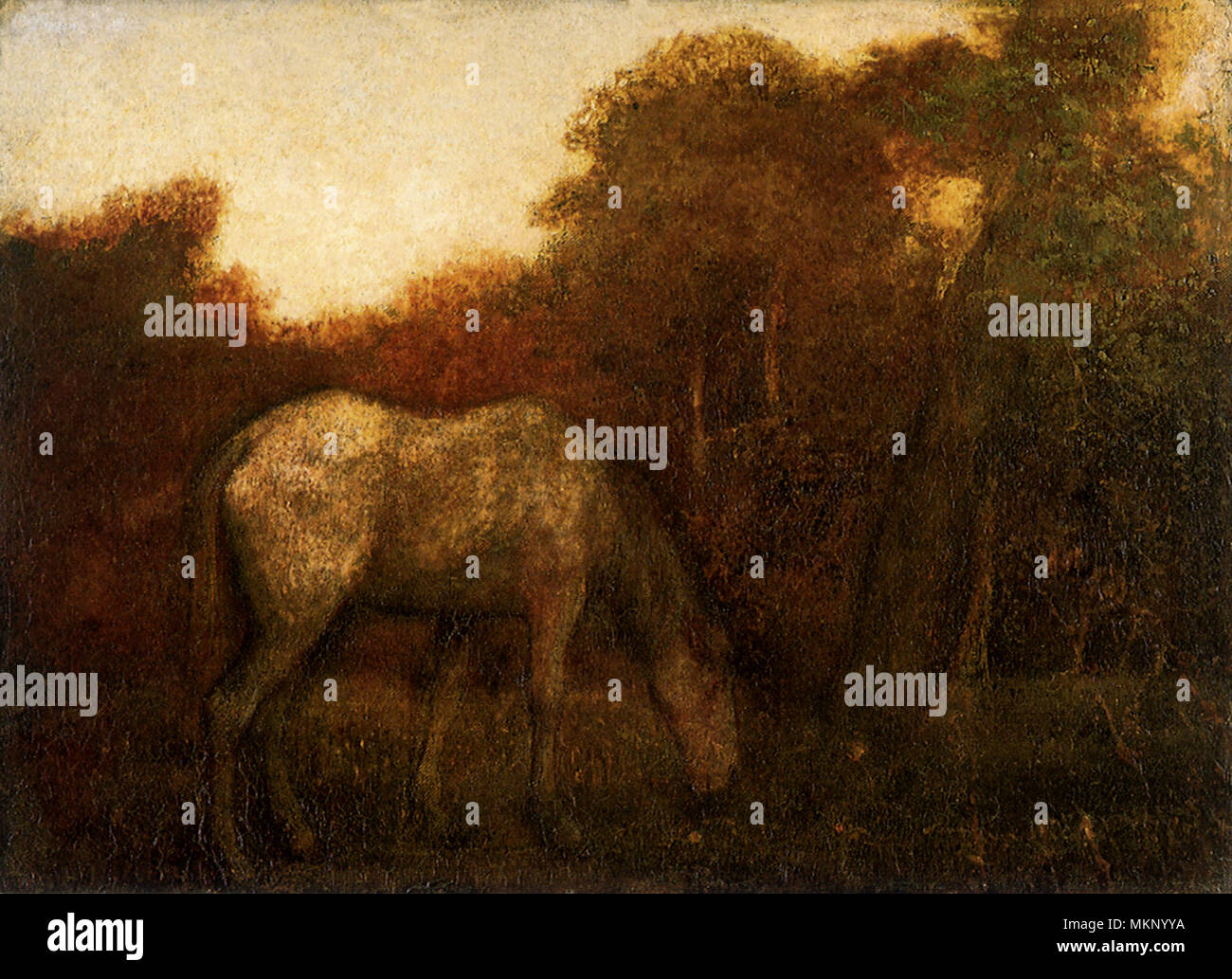 The Grazing Horse Stock Photo - Alamy