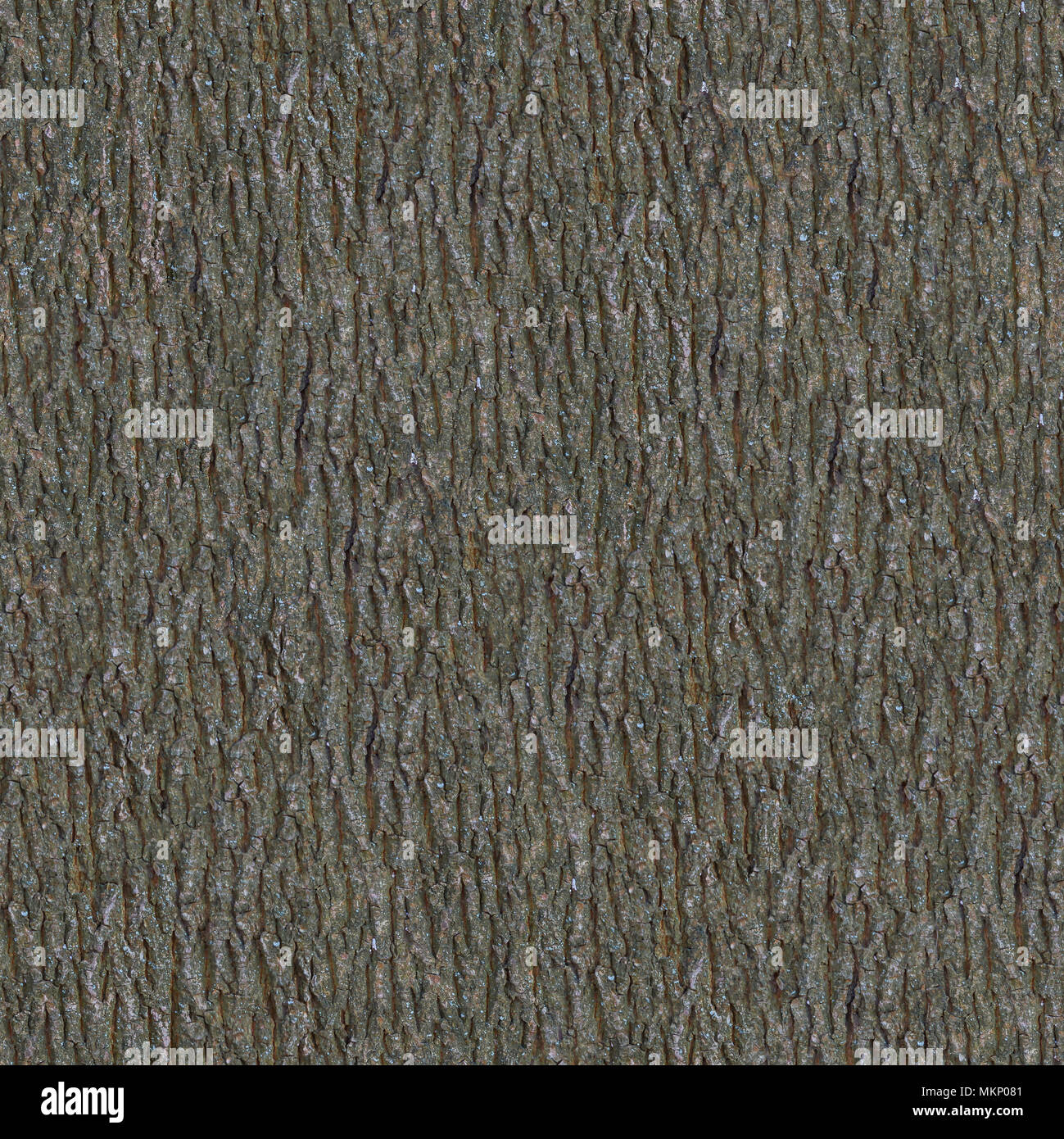 Wooden Bark. Seamless Tileable Texture Stock Photo - Alamy