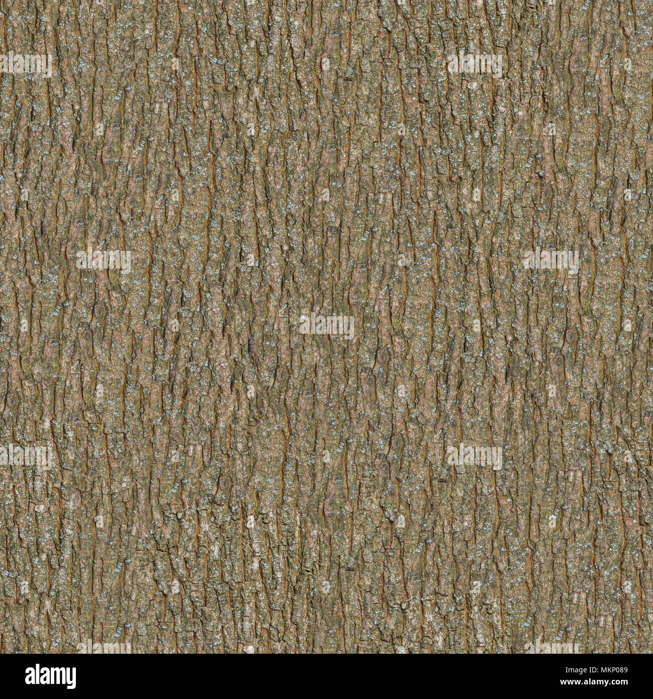 Wooden Bark. Seamless Tileable Texture Stock Photo - Alamy