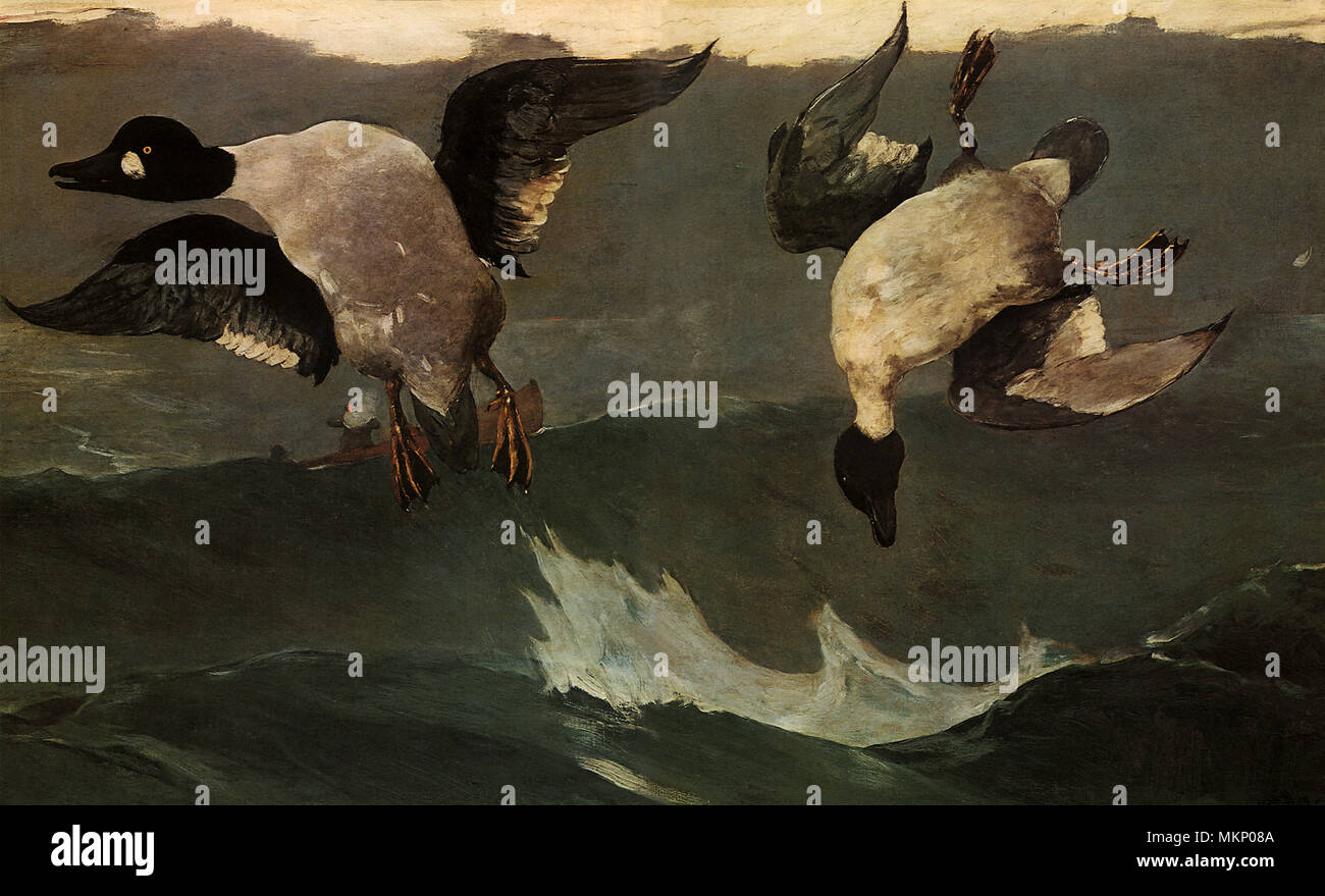 Hunter shoots birds hi-res stock photography and images - Alamy