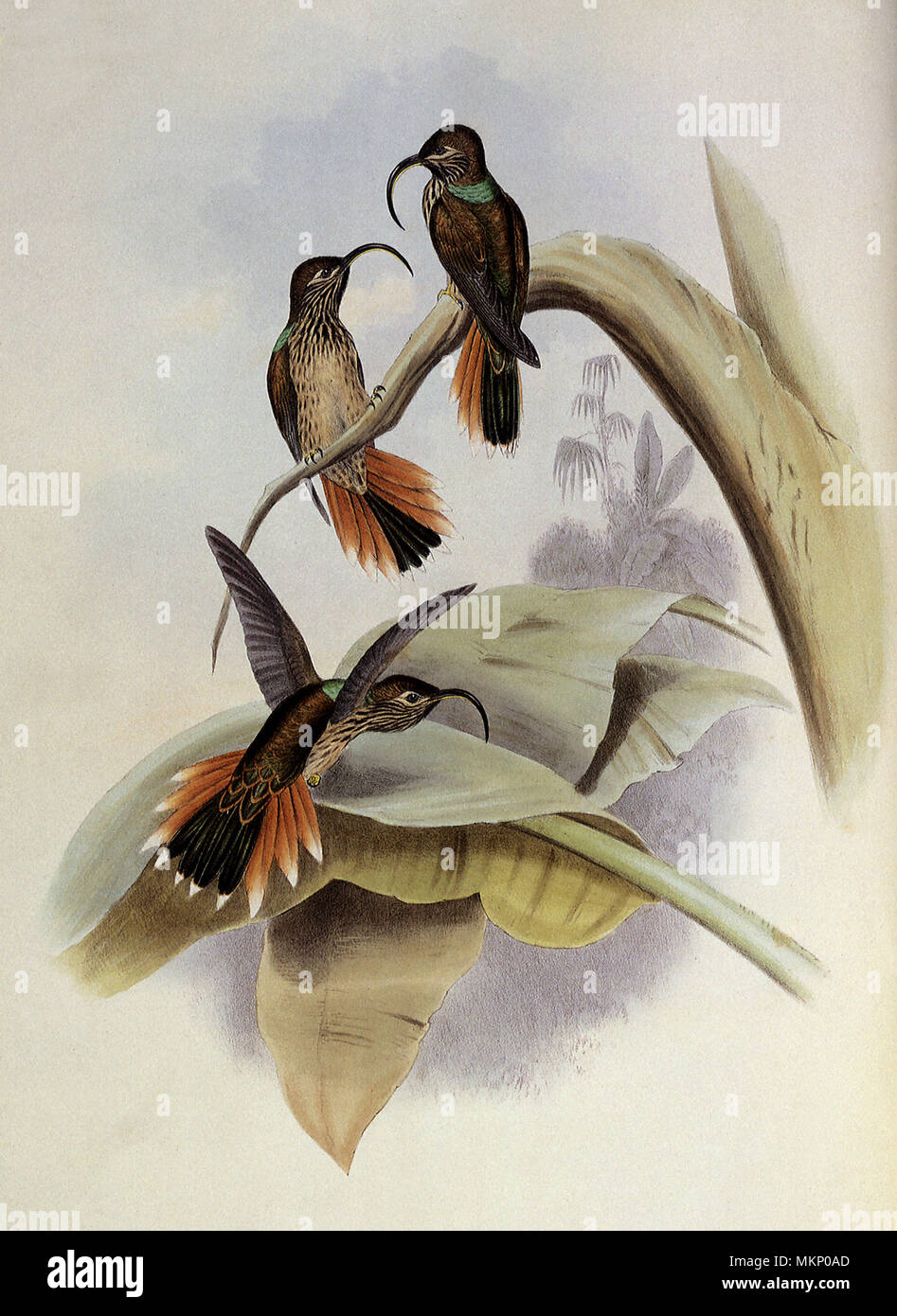 Condamines hi-res stock photography and images - Alamy