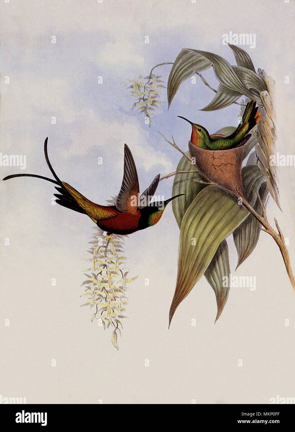 Pyra hi-res stock photography and images - Alamy