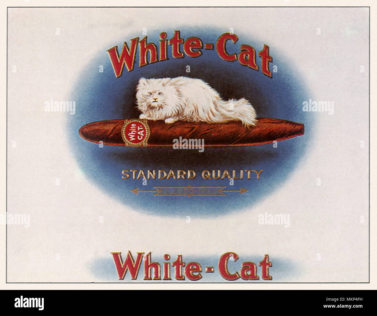 White cat illustration hi-res stock photography and images - Alamy