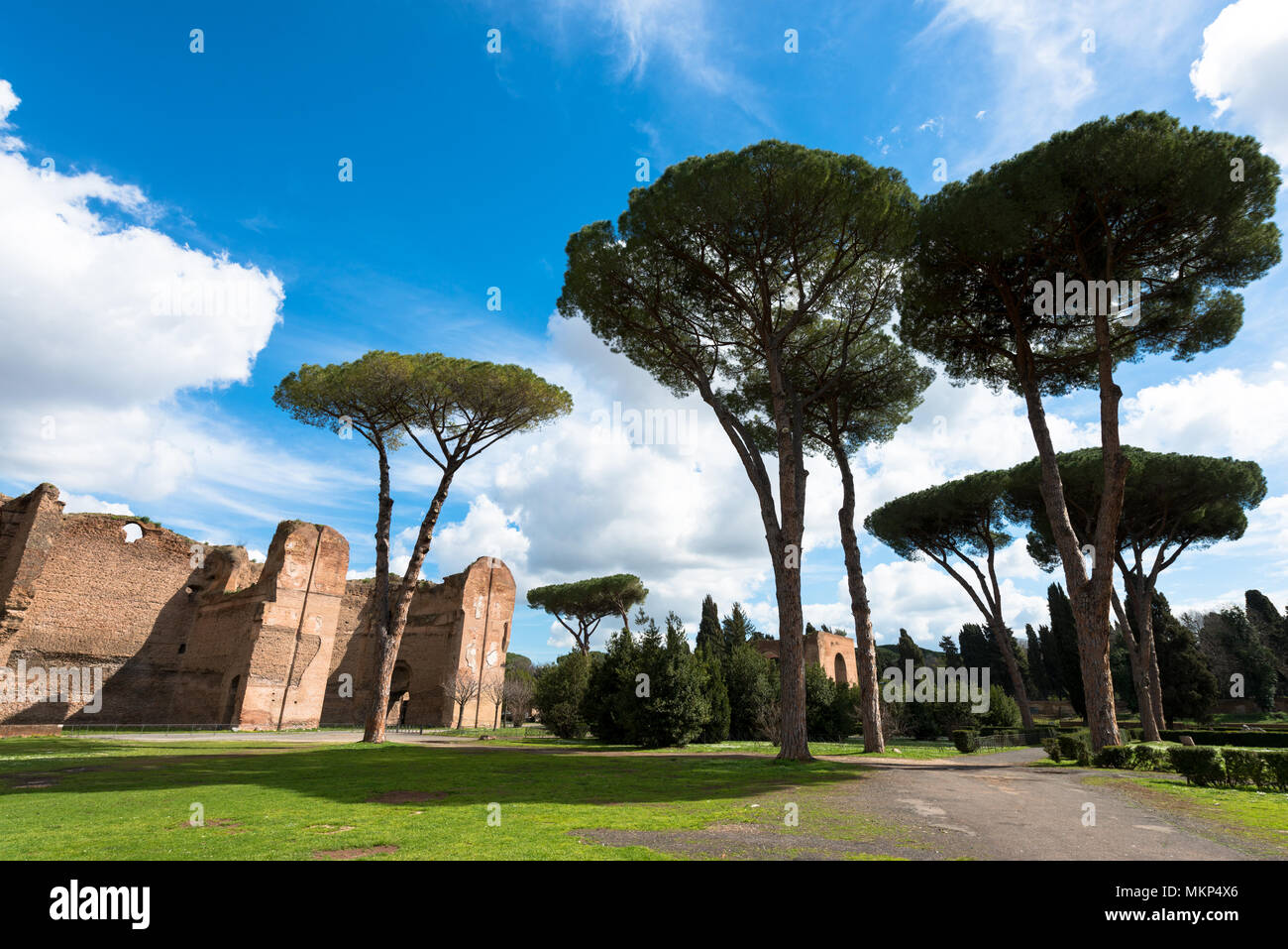 Horizontal picture of huge trees and green grass inside Baths of ...