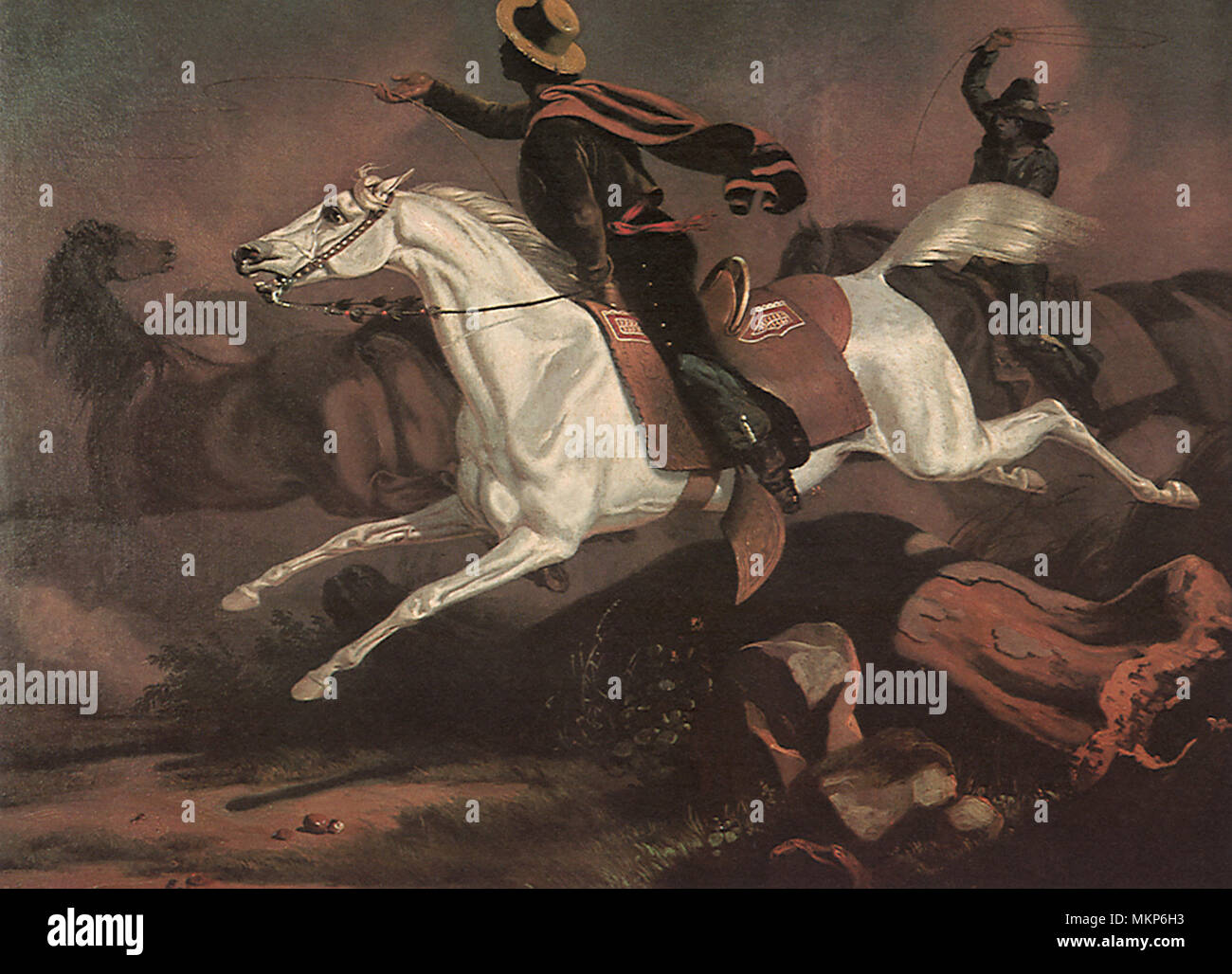 Vaqueros roping horses hi-res stock photography and images - Alamy