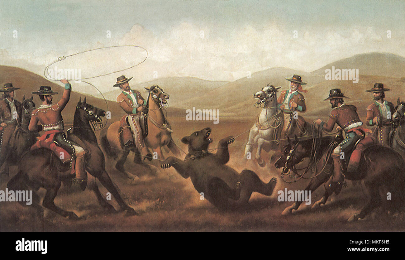 Dons Roping Bear Stock Photo - Alamy