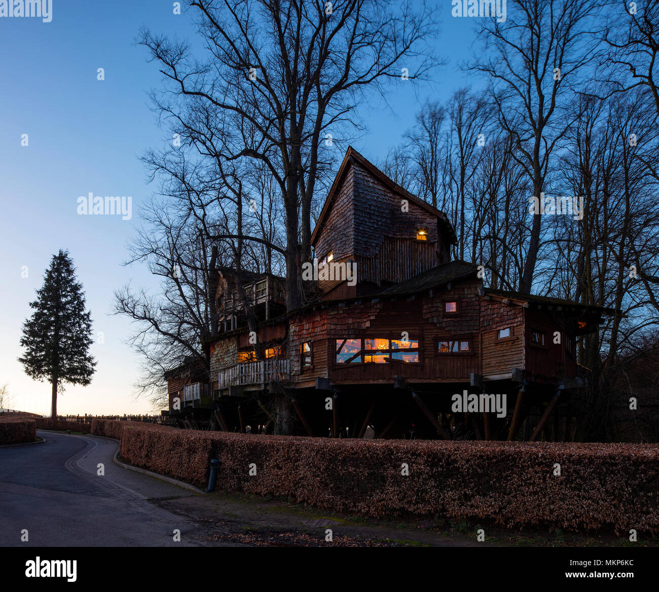 Alnwick garden treehouse hi-res stock photography and images - Alamy
