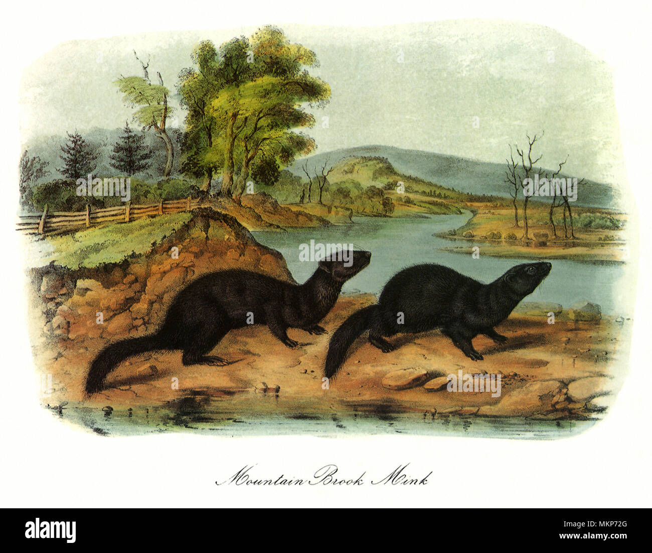 Re mountain Cut Out Stock Images & Pictures - Alamy