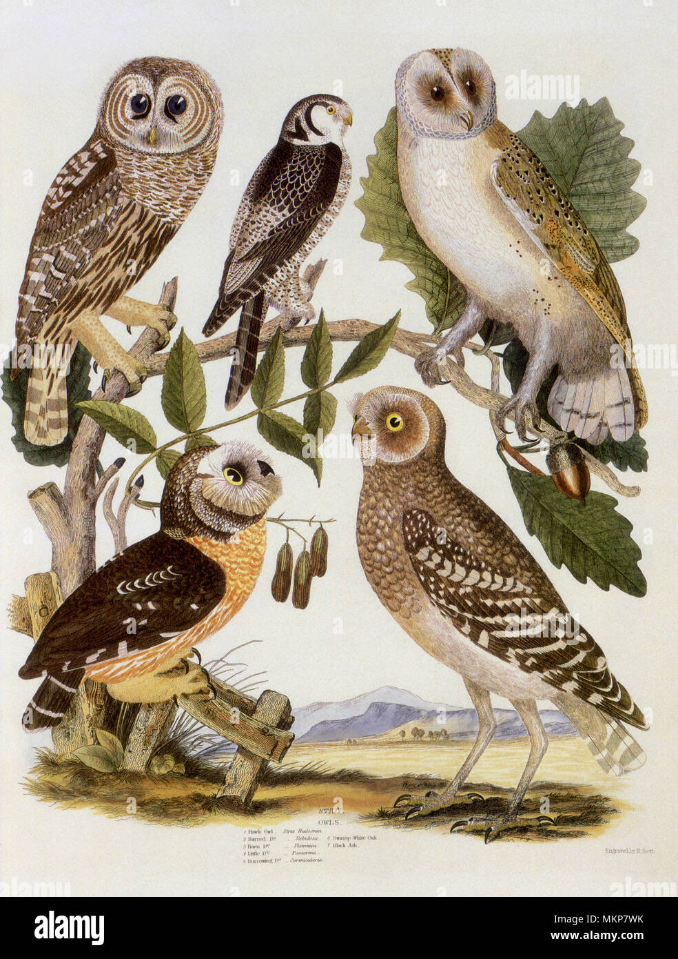 Classic american barn hi-res stock photography and images - Alamy