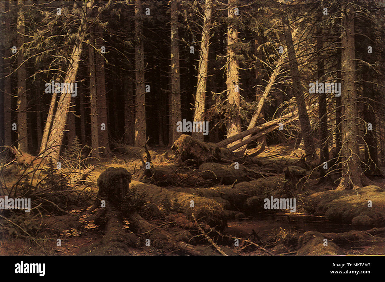 Windfallen trees hi-res stock photography and images - Alamy