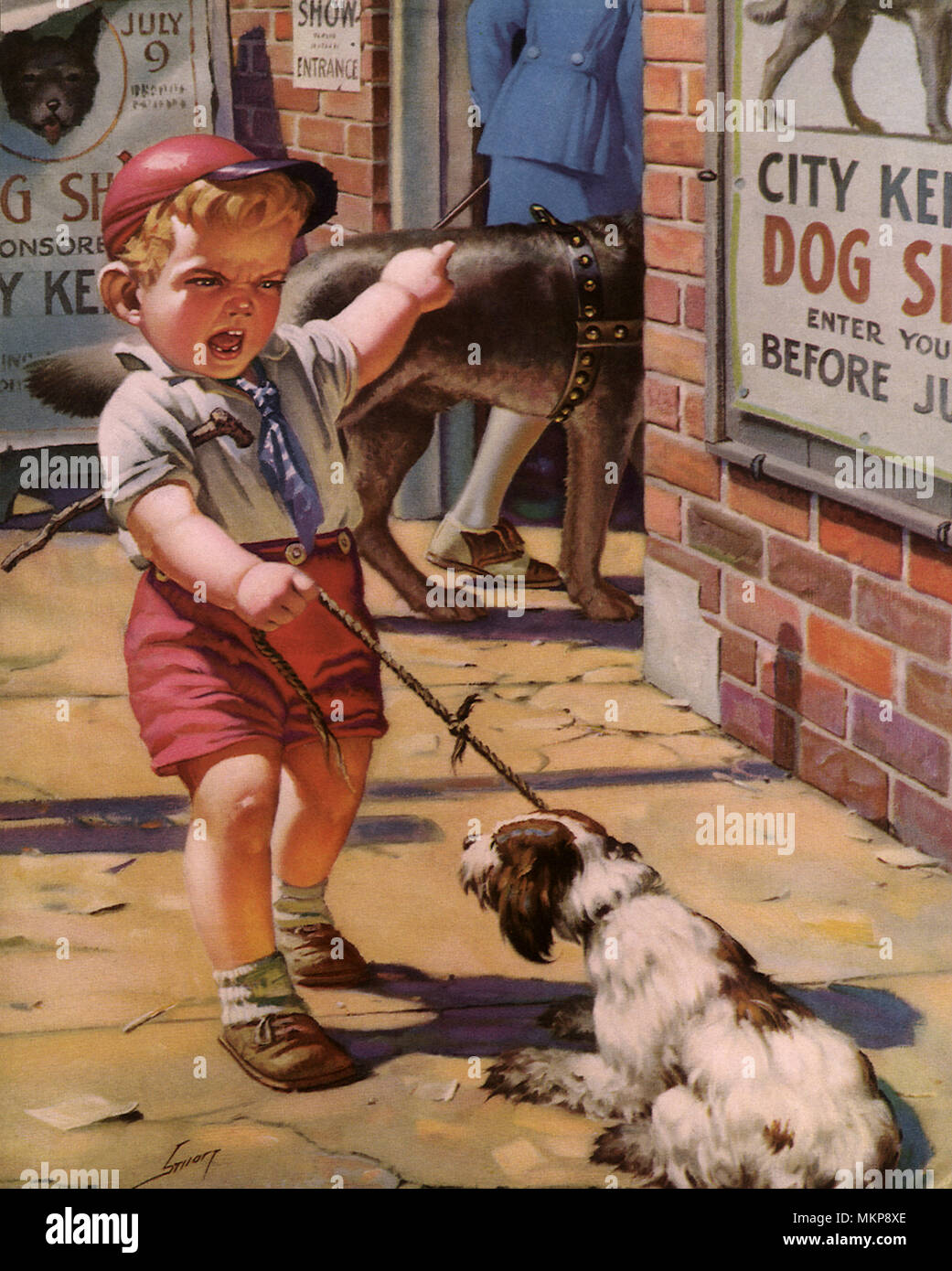 Bashful Dog High Resolution Stock Photography and Images - Alamy