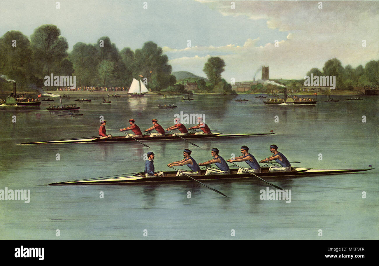 Sports shell hi-res stock photography and images - Alamy