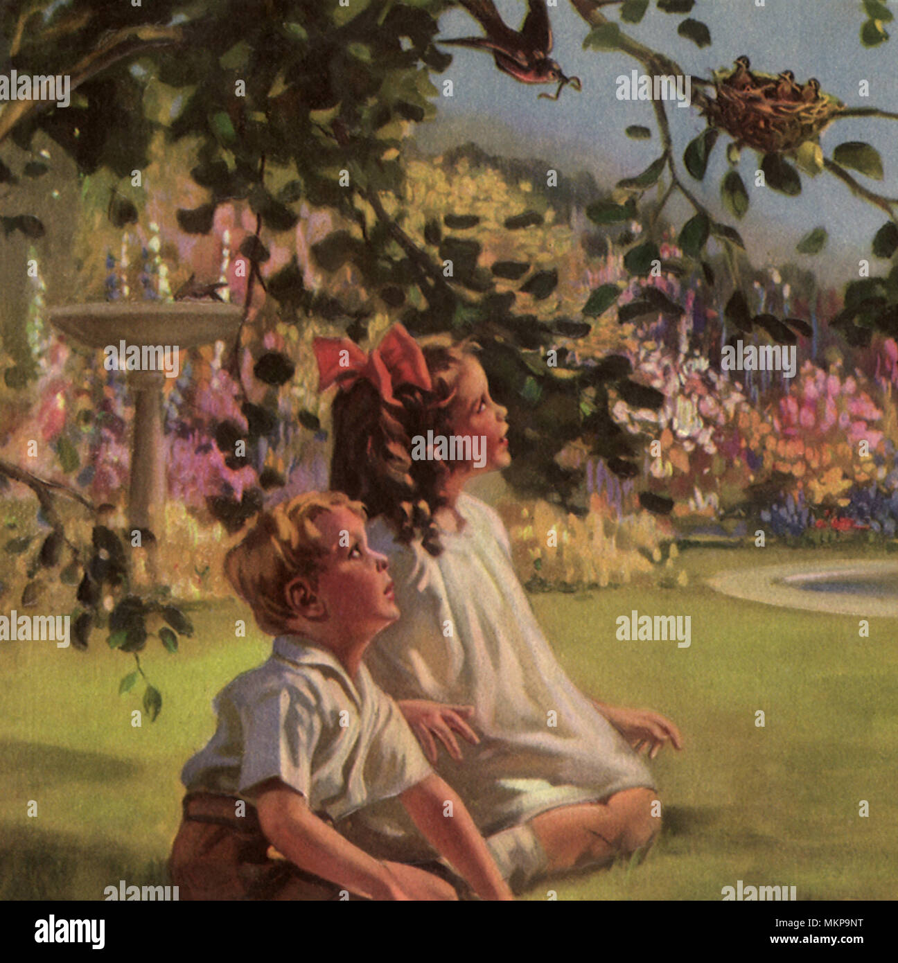 Boy girl watch birds hi-res stock photography and images - Alamy