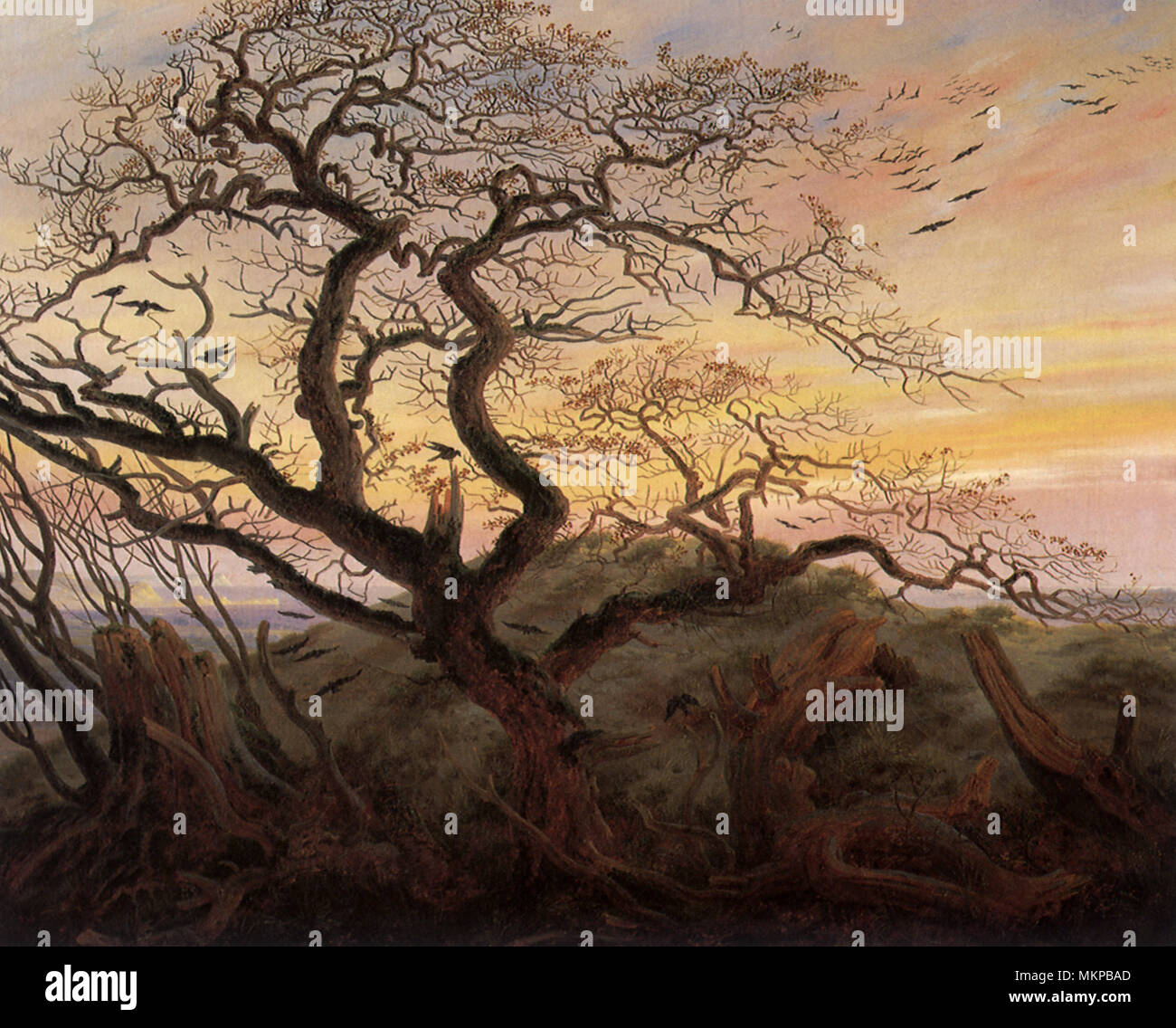 Tree with Crows Stock Photo - Alamy