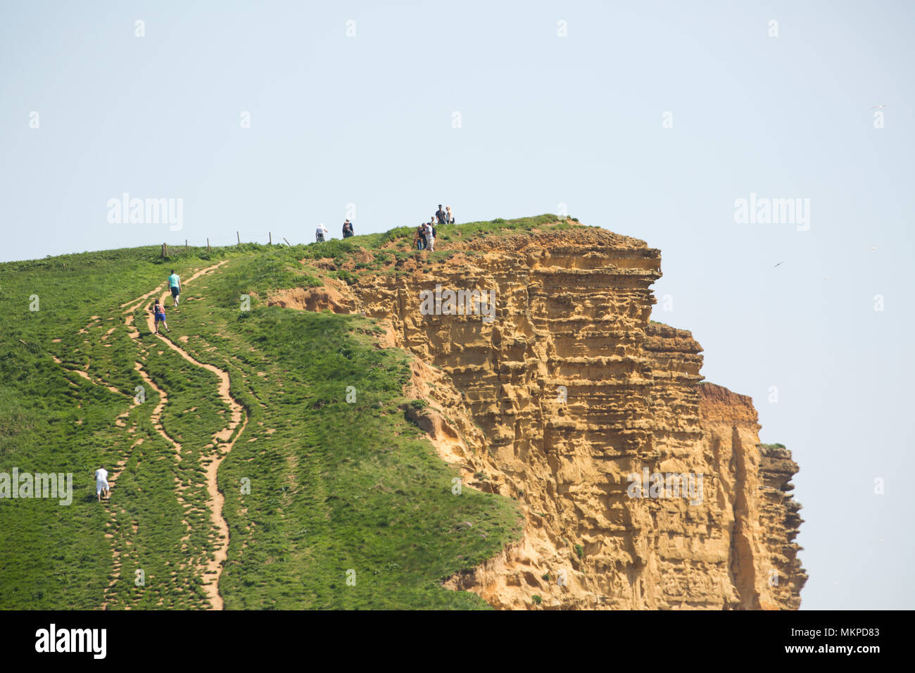Coastal paths hi-res stock photography and images - Alamy
