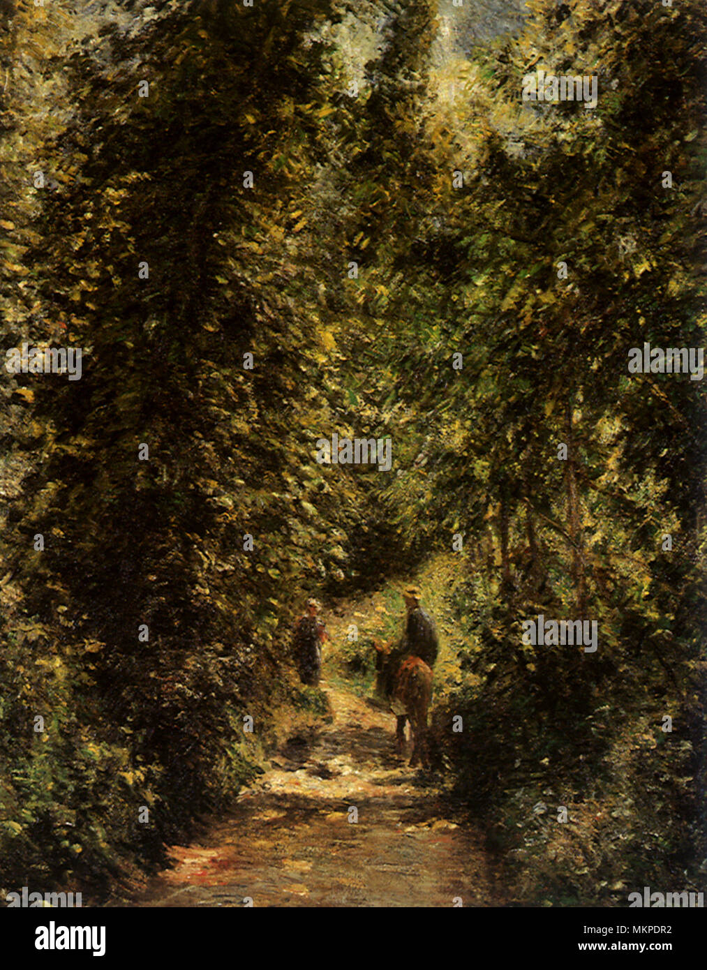 Path through the Woods Stock Photo - Alamy