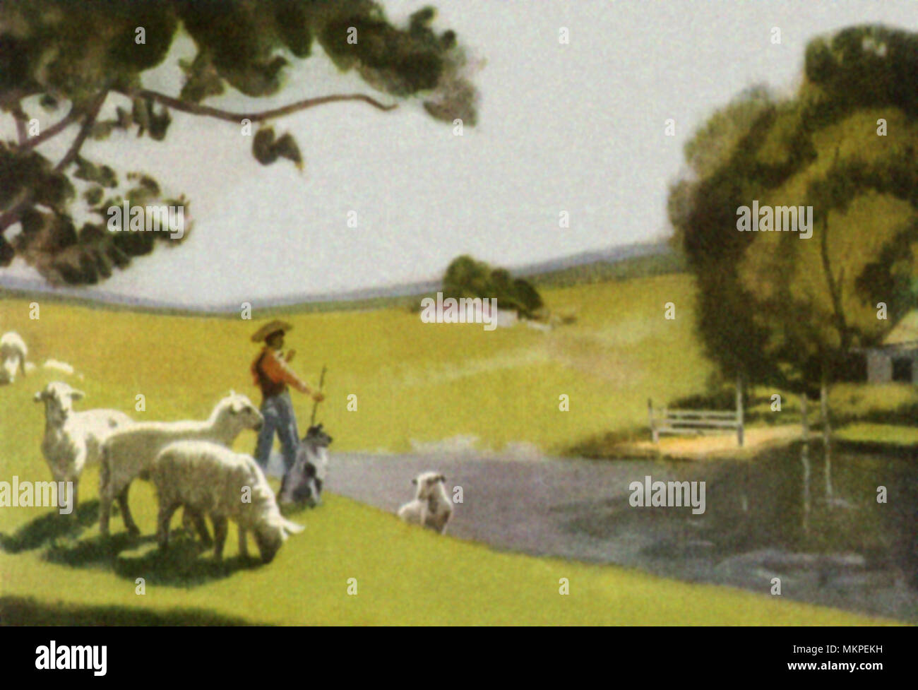 Shepherd and sheep hi-res stock photography and images - Alamy