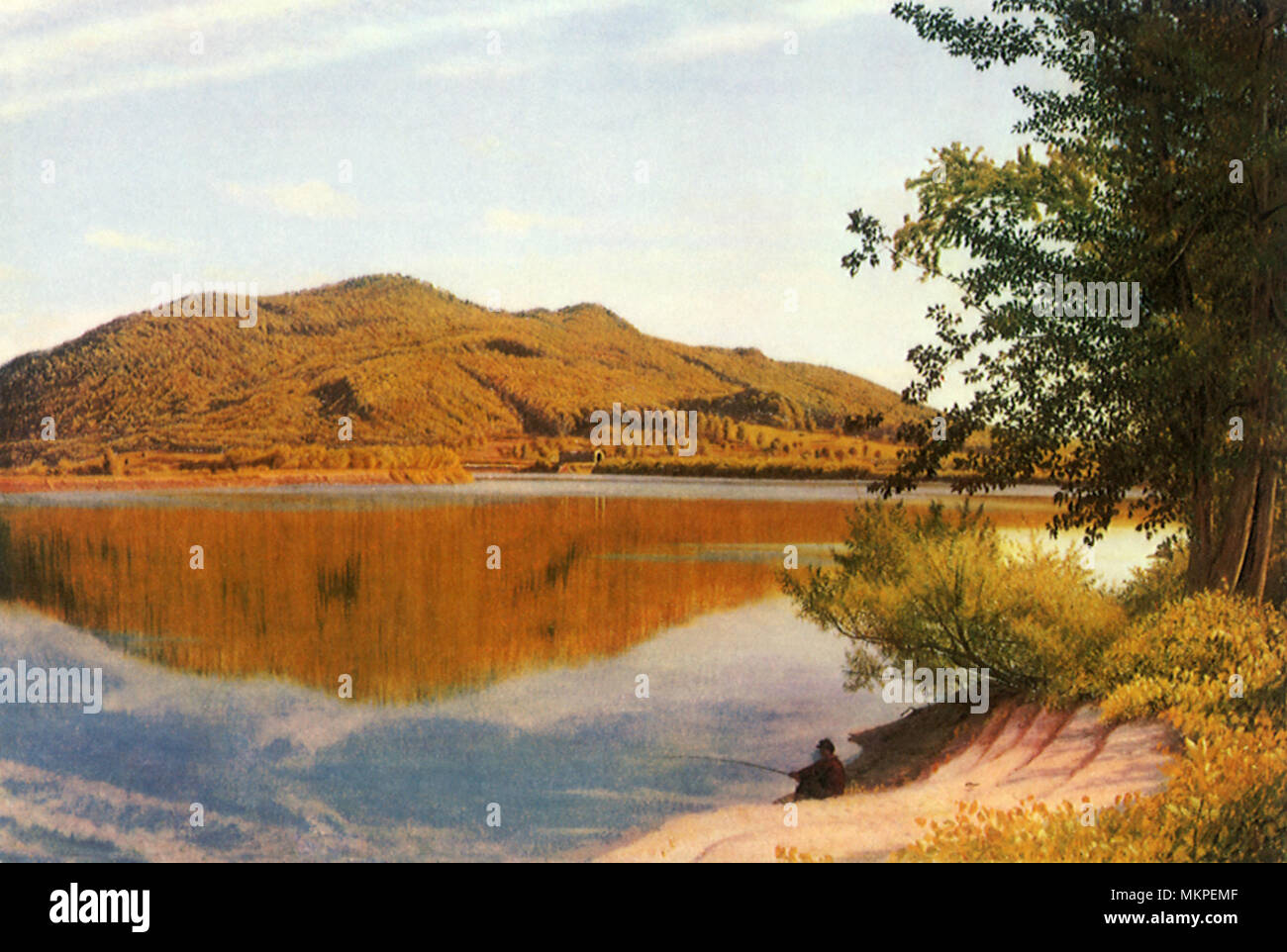 Tom hi-res stock photography and images - Alamy