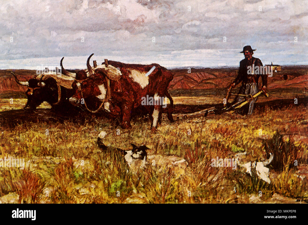 Buffalo Bones are Plowed Under Stock Photo - Alamy