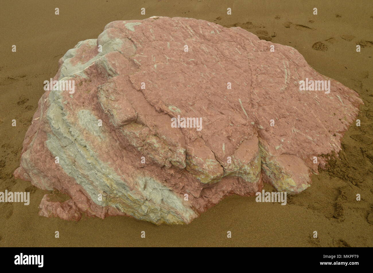 Pink Sandstone Fossil Records With Flysch-type Formations From the ...