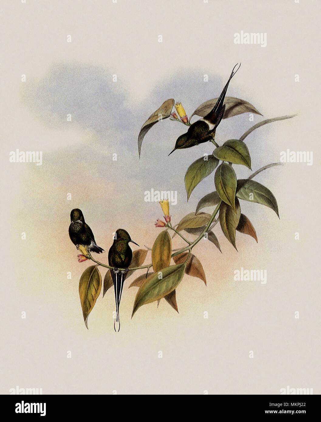 Conversi hi-res stock photography and images - Alamy