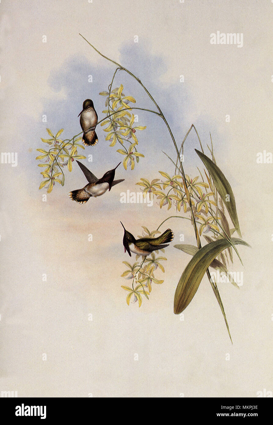 Bearer of the flame hi-res stock photography and images - Alamy