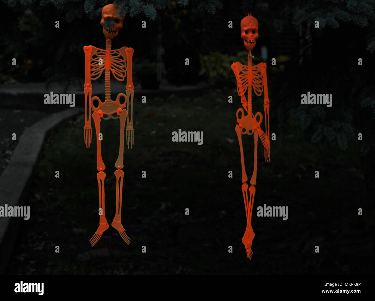 Orange skeletons in the night Stock Photo - Alamy