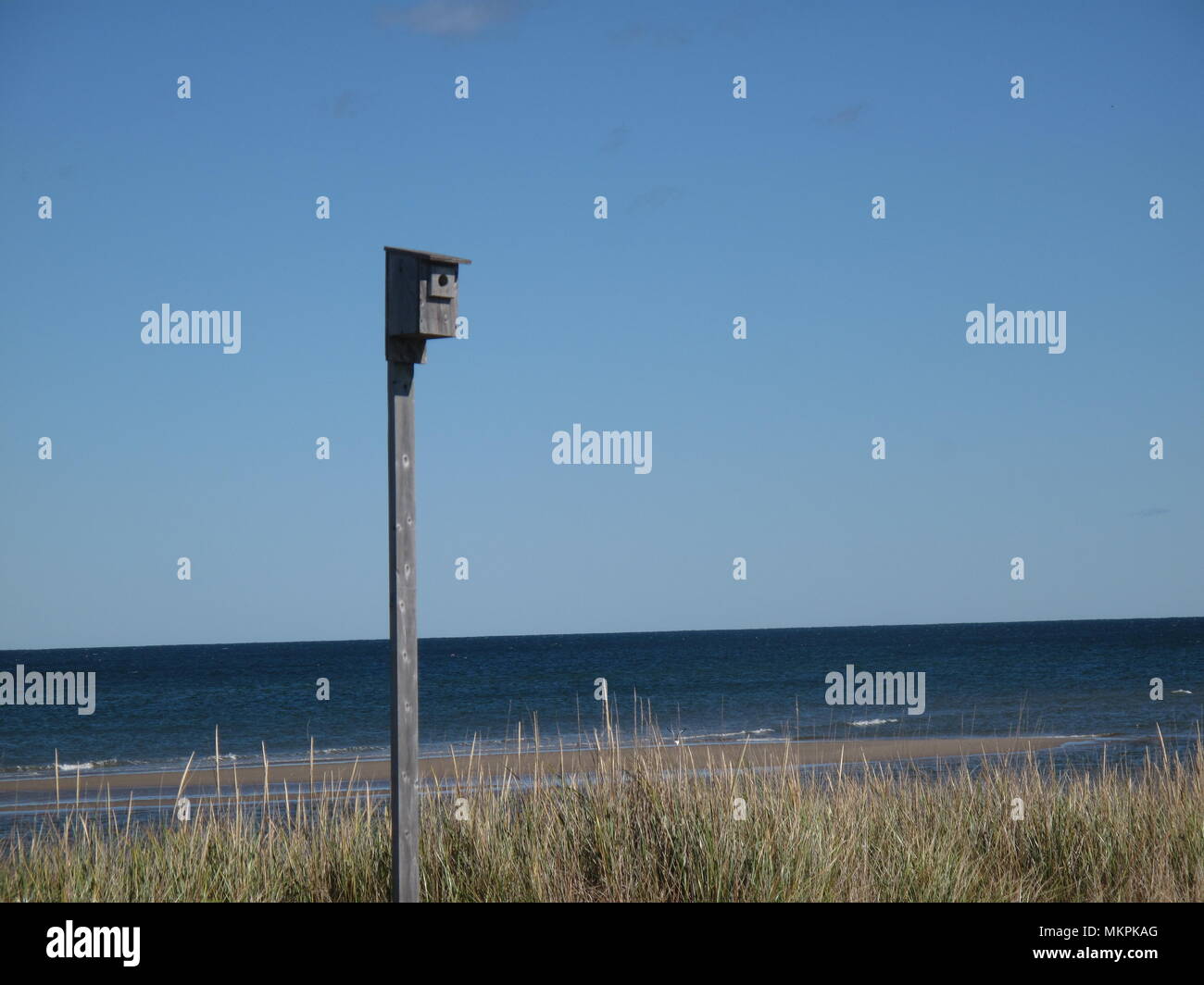 Bird nesting box on a pole by the ocean Stock Photo - Alamy