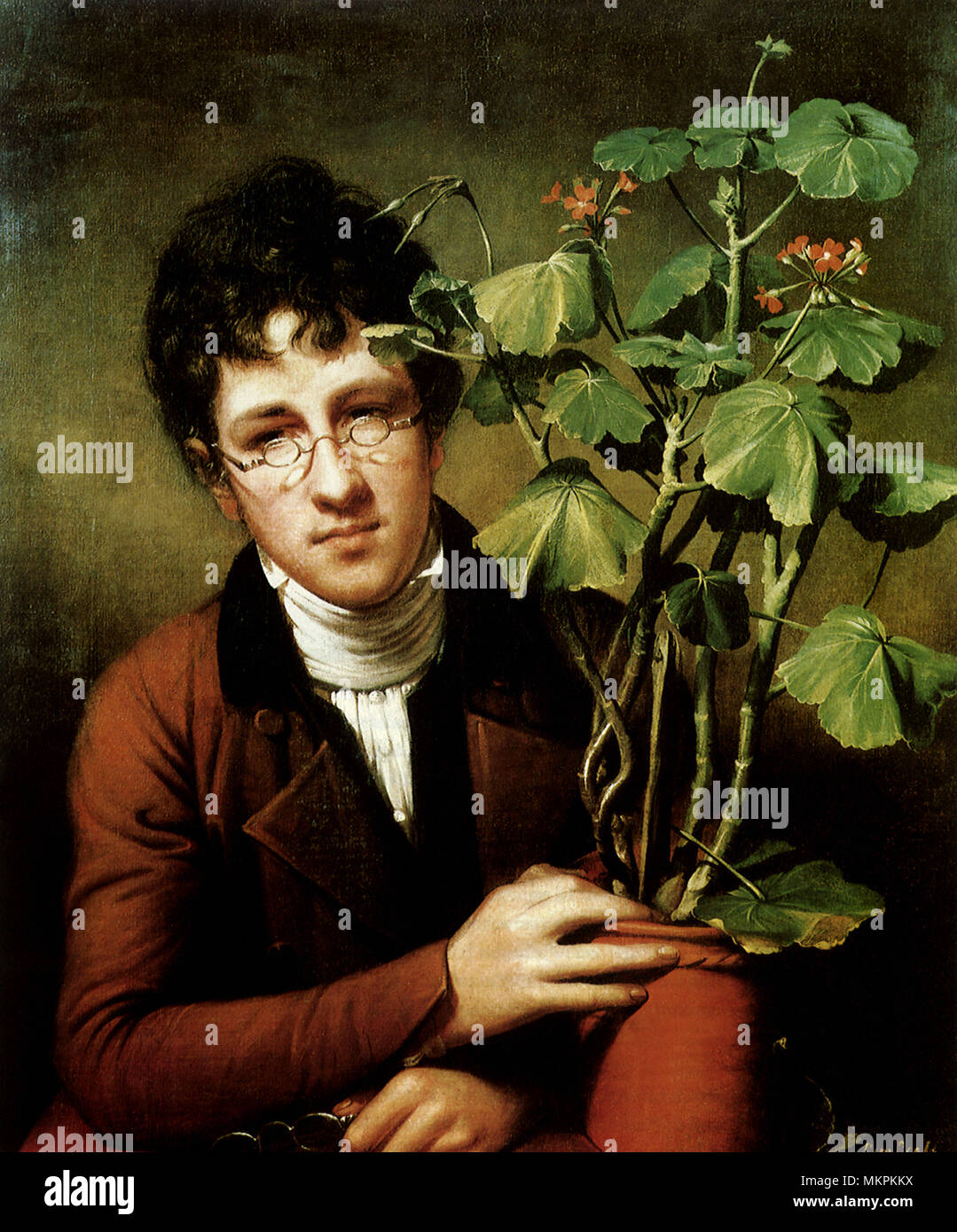 Rubens Peale with a Geranium Stock Photo - Alamy