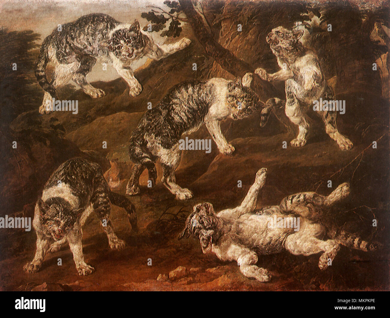 Animal studies hi-res stock photography and images - Alamy