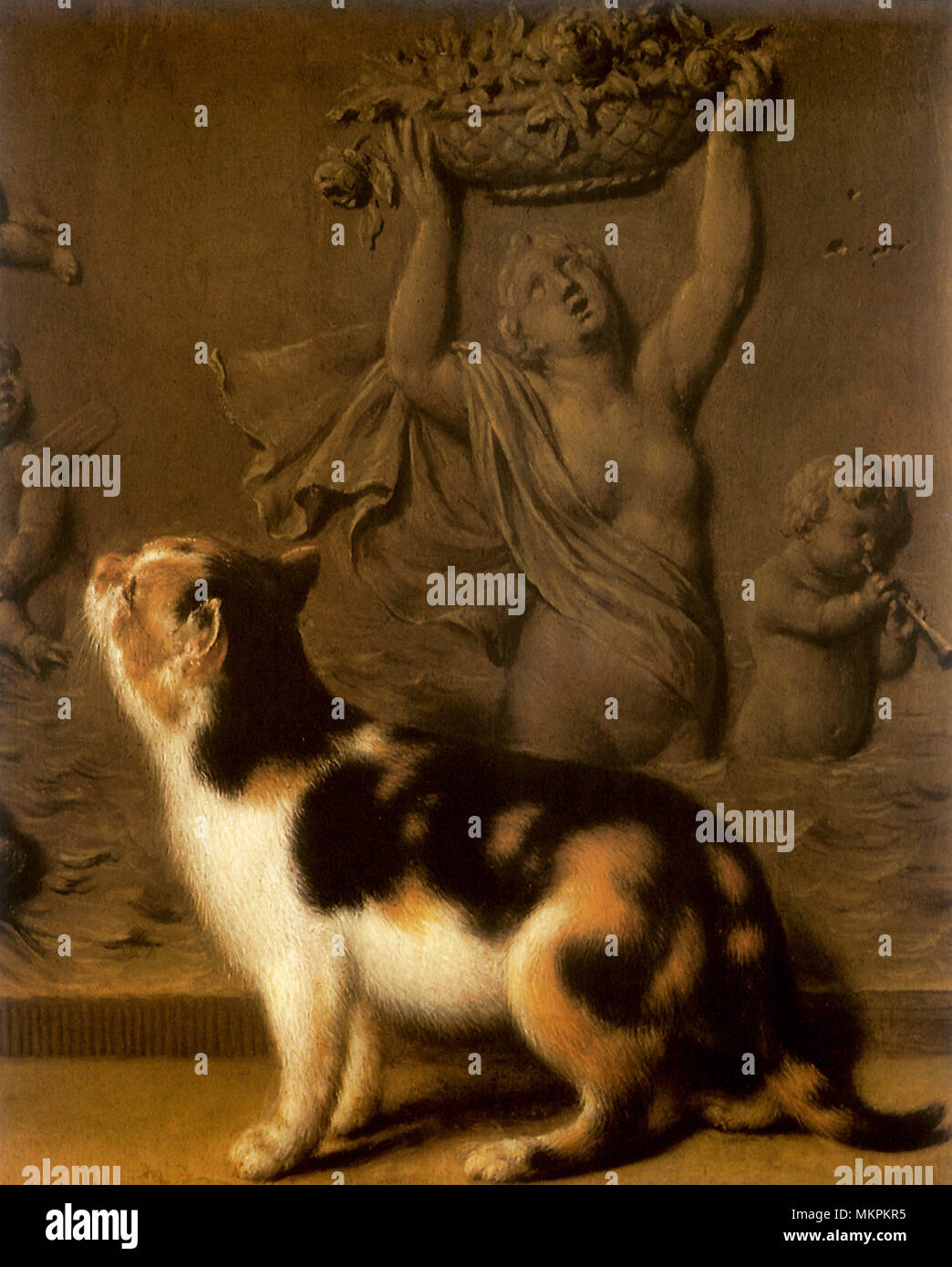 Cat relief hi-res stock photography and images - Alamy