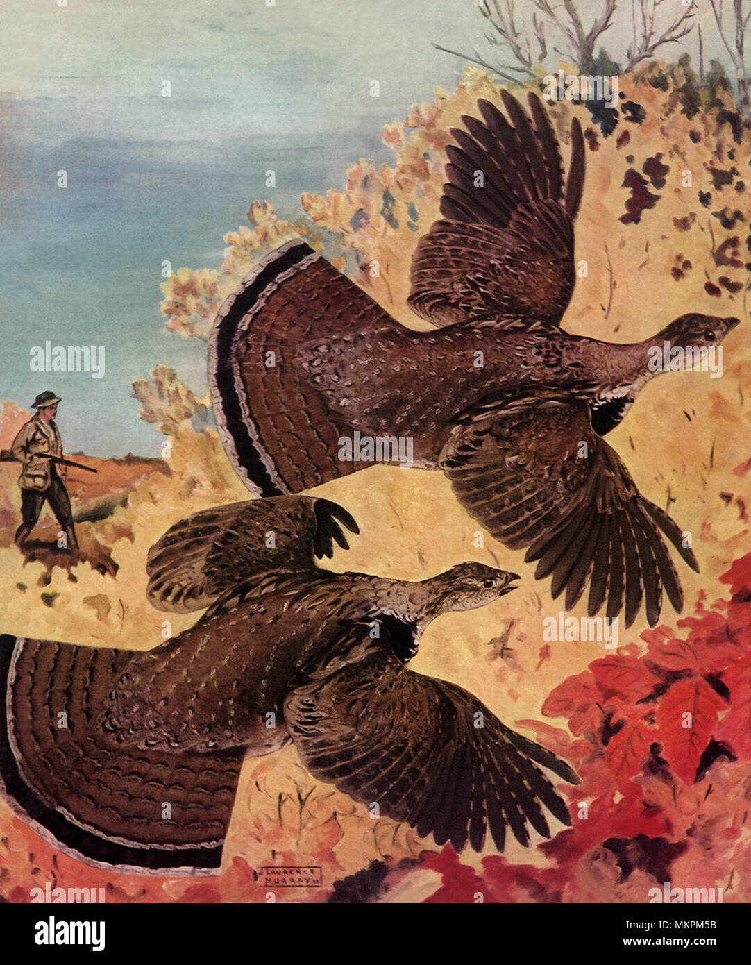 Hunter goes after Birds Stock Photo - Alamy