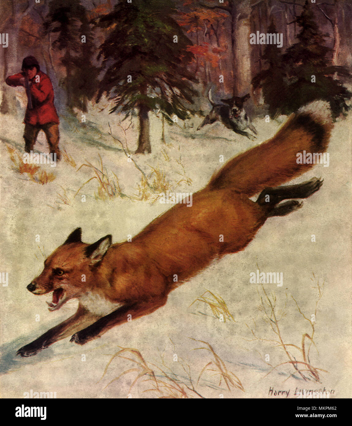 Chase hunter hi-res stock photography and images - Alamy