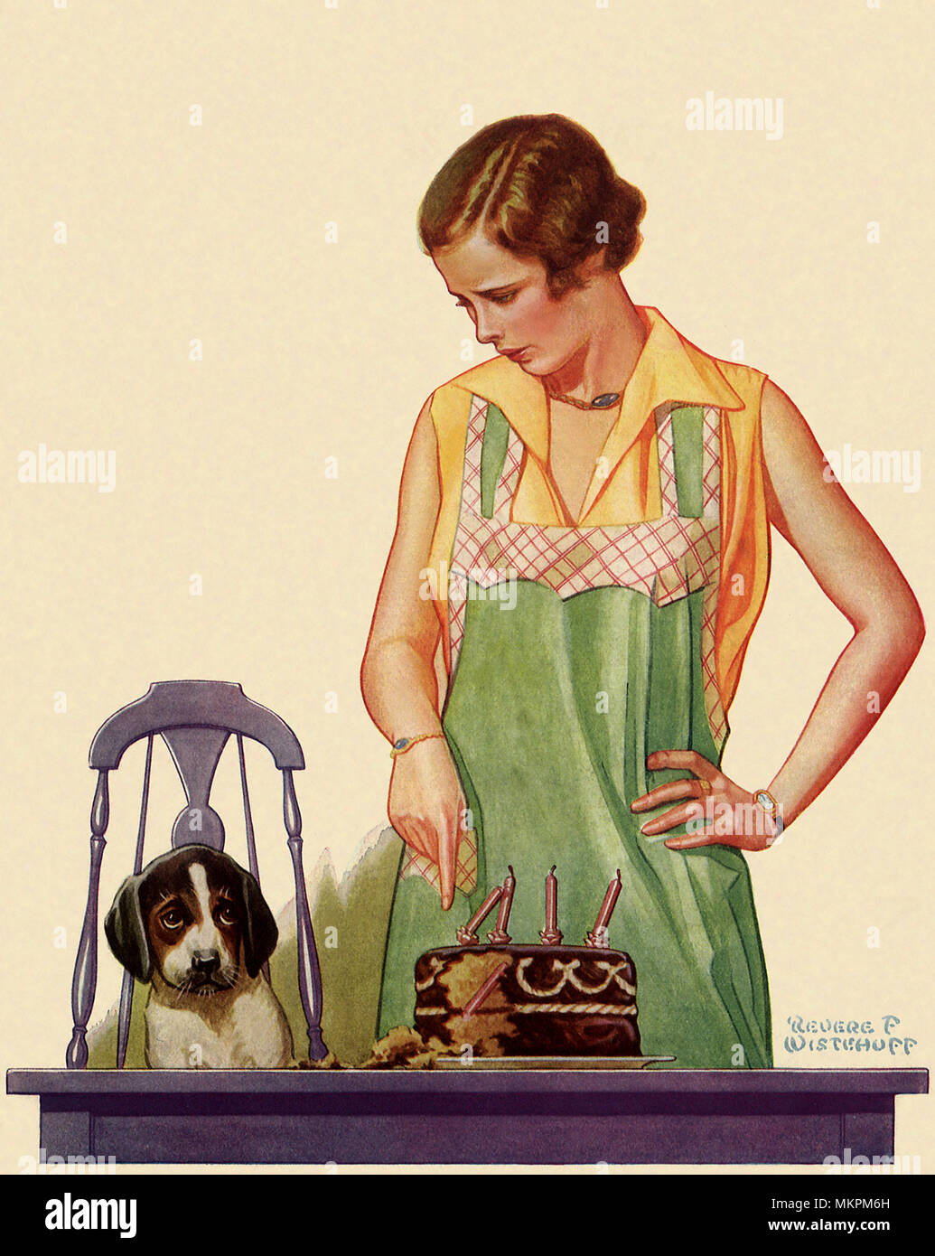 Guilty Dog and Eaten Birthday Cake Stock Photo - Alamy