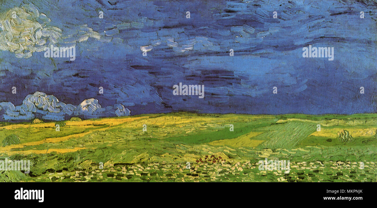 Wheat field under clouded sky hi-res stock photography and images - Alamy