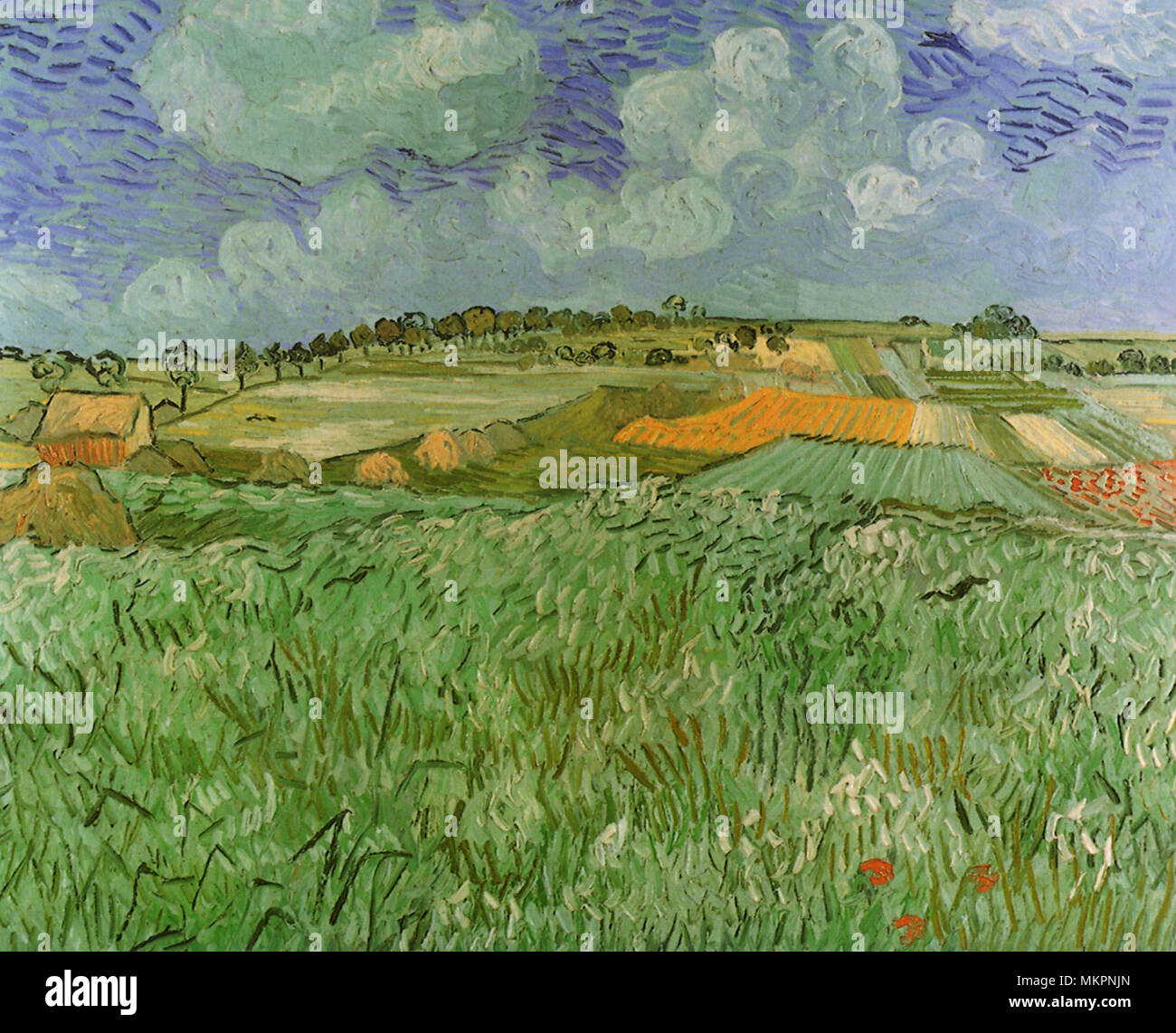 Plain birds hi-res stock photography and images - Alamy