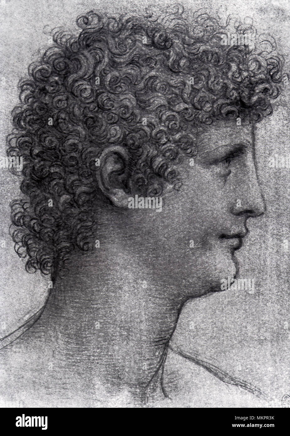 Classical profile hi-res stock photography and images - Alamy