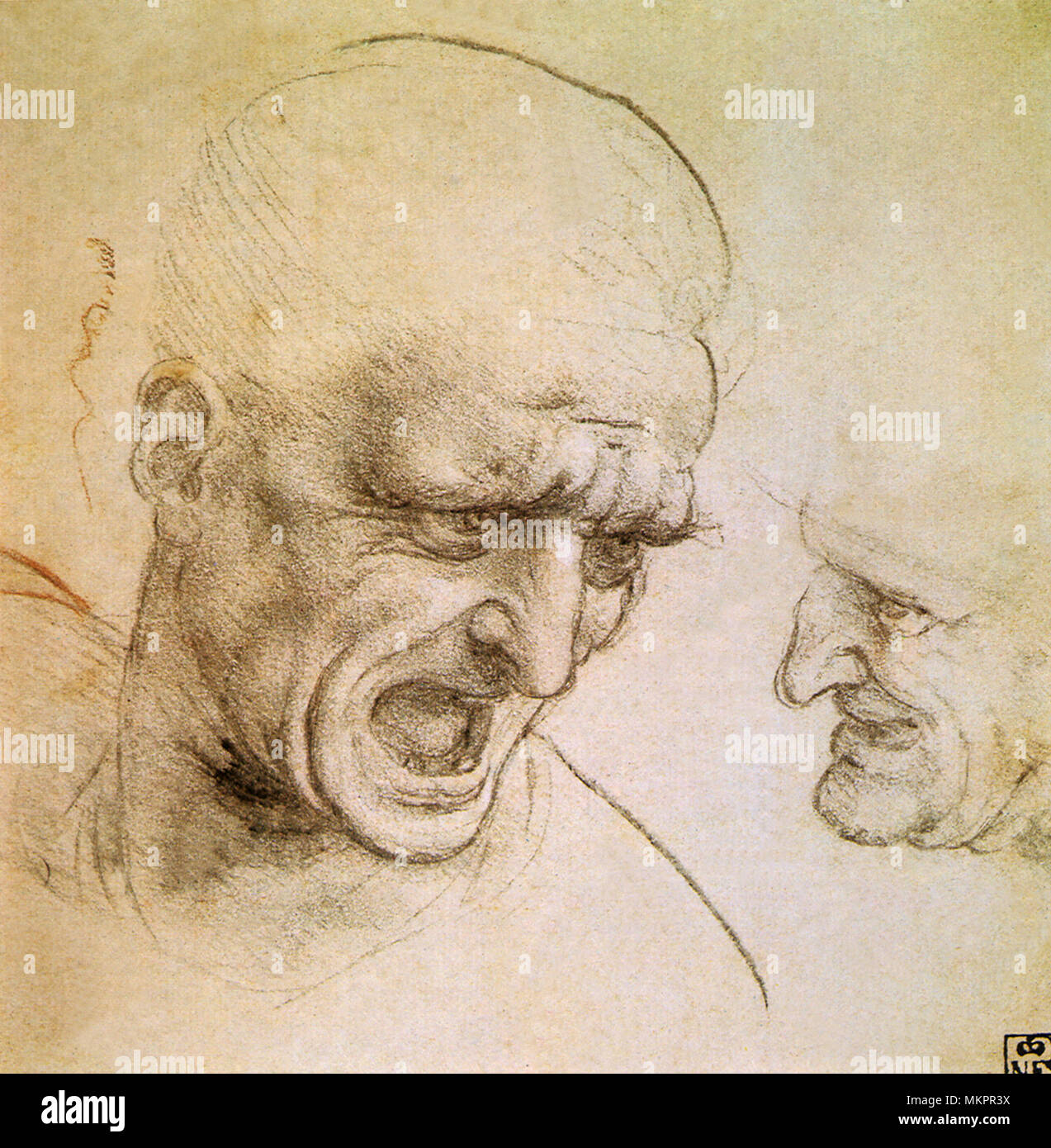 The head of a man hi-res stock photography and images - Alamy