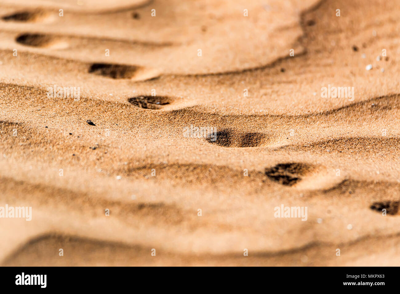 Background texture of sand with footprints Stock Photo - Alamy