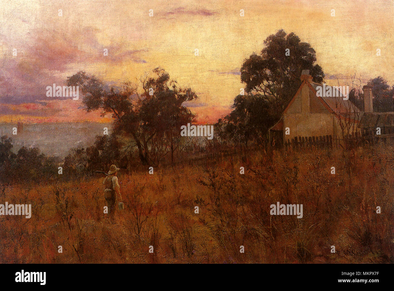 Winter Evening, Hawthorn Stock Photo - Alamy