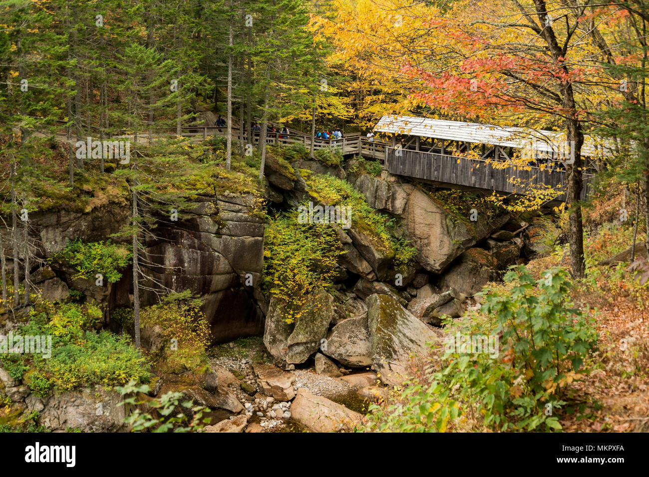 Sentinel Pine Covered Bridge in Franconia Notch State Park Stock Photo ...