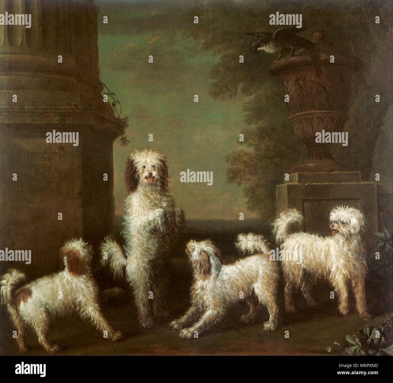 The Dancing Dogs Stock Photo - Alamy