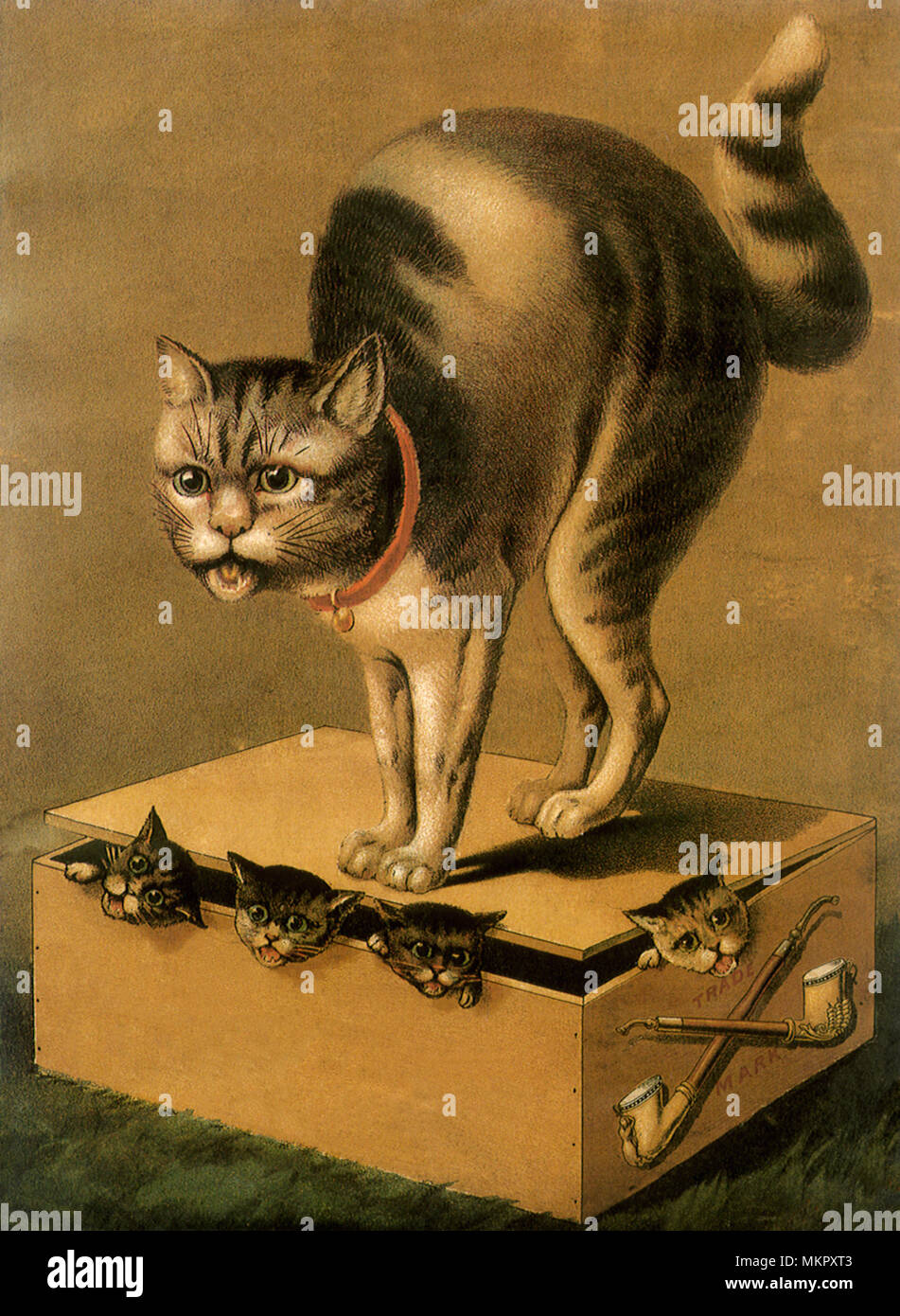 Box stands hi-res stock photography and images - Alamy