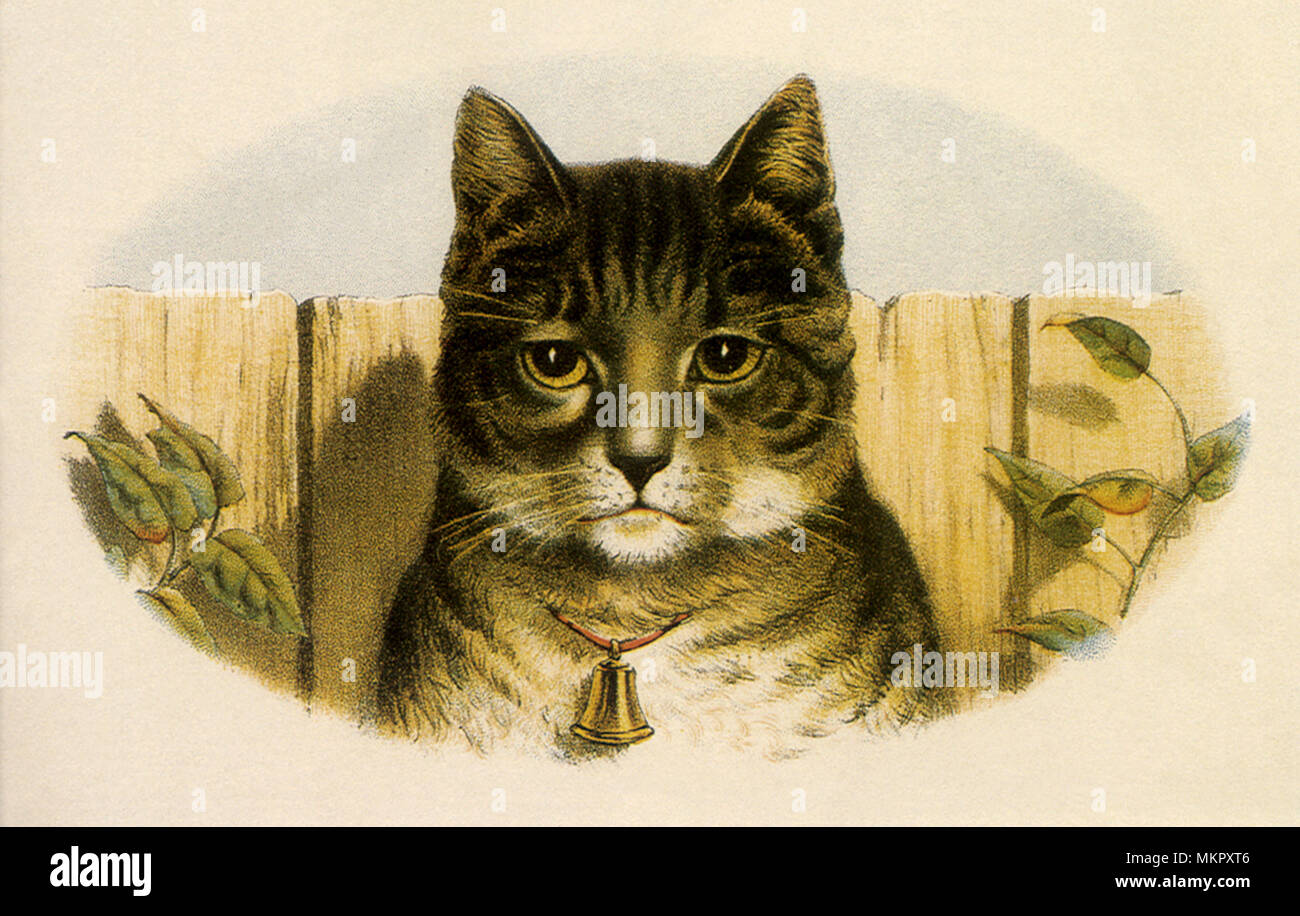 Creatures house hi-res stock photography and images - Alamy