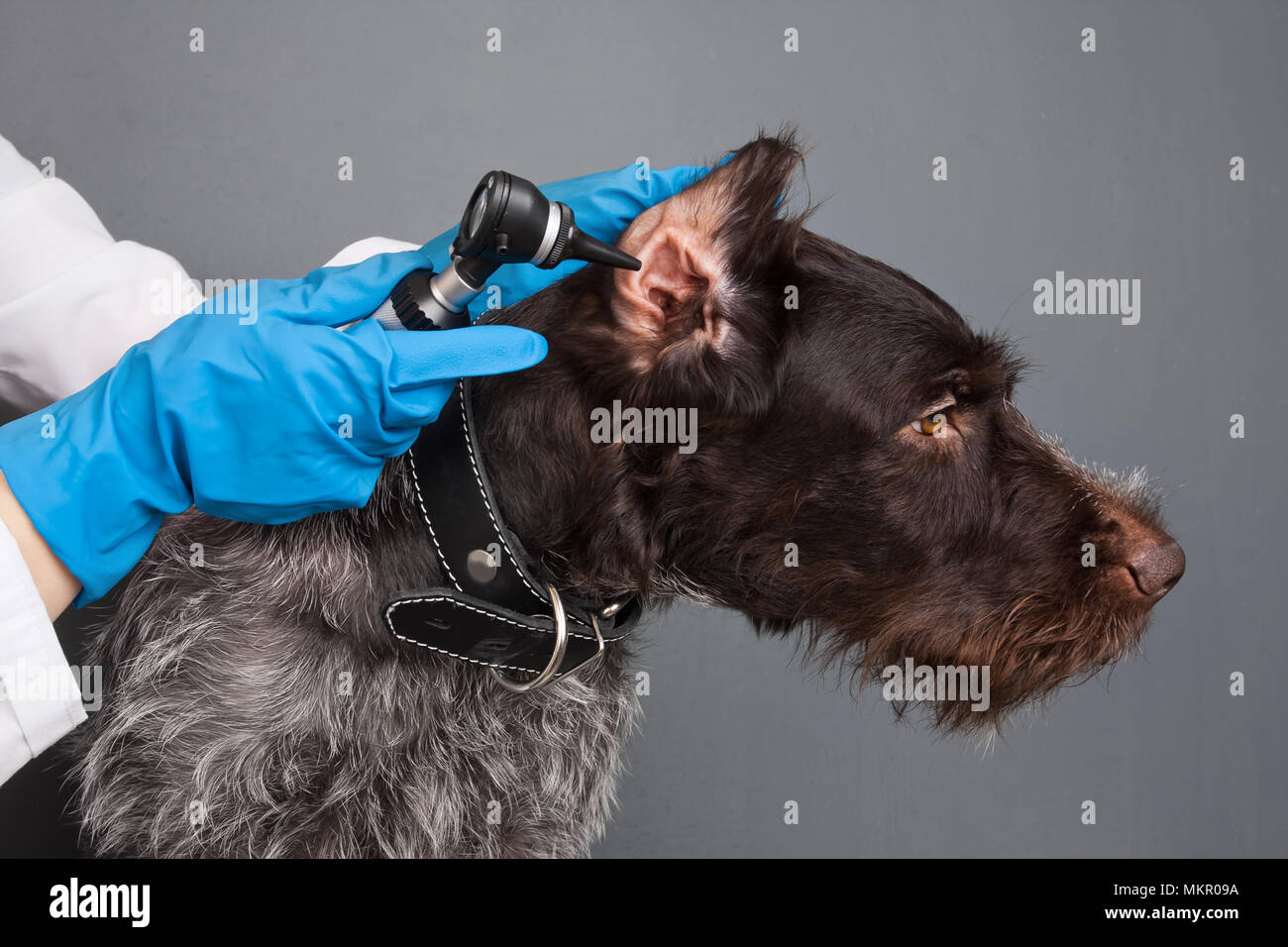 Doctor ear examination hi-res stock photography and images - Alamy