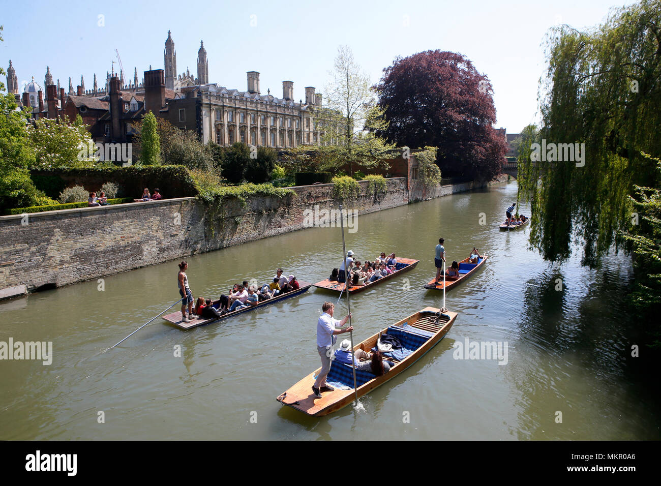 Punting on the River Cam in Cambridge Stock Photo - Alamy